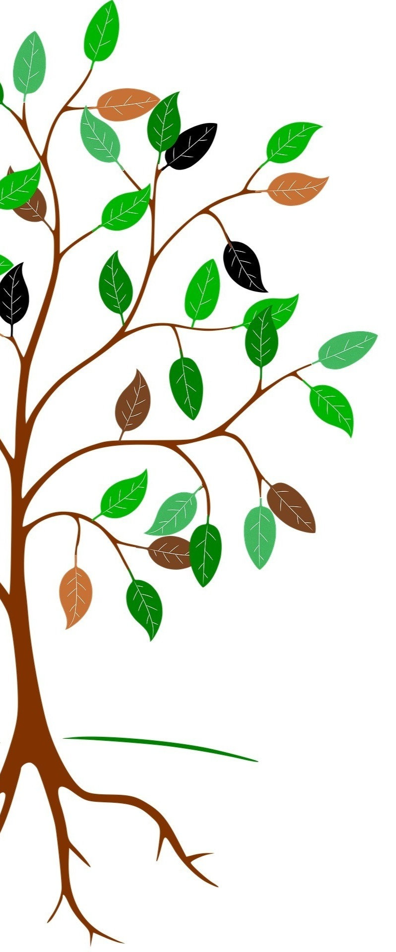 The Communication Tree