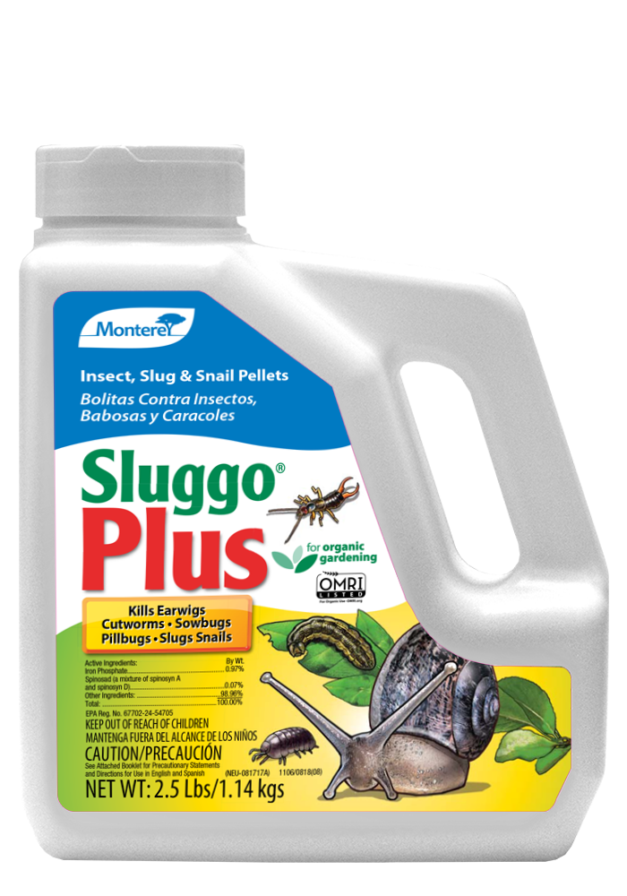 Sluggo | Marshall Grain