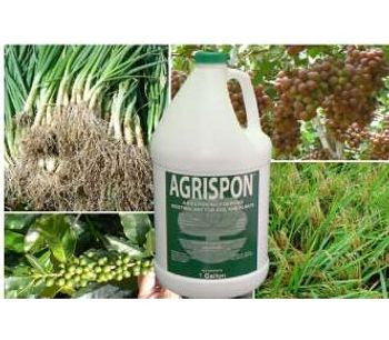 Agrispon | Marshall Grain