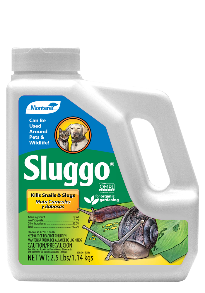 Sluggo | Marshall Grain