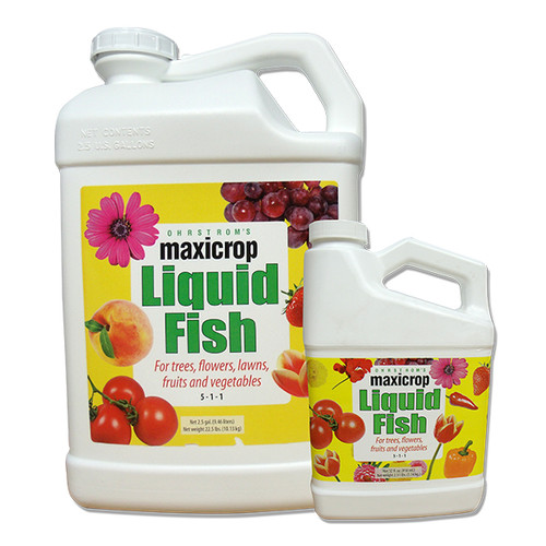 Liquid Fish | Marshall Grain