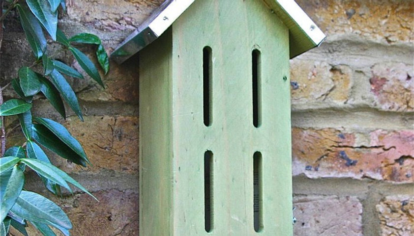 ATTRACT MORE BUTTERFLIES WITH A BUTTERFLY HOUSE | Marshall Grain Co.