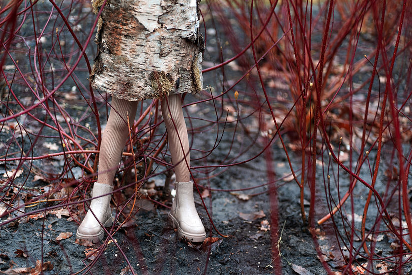 The Birch Tree Family | Olana Light