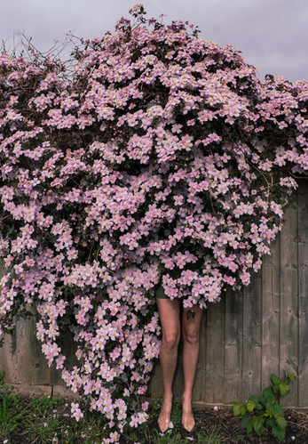 Searching for a Place to Belong PFH | Olana Light