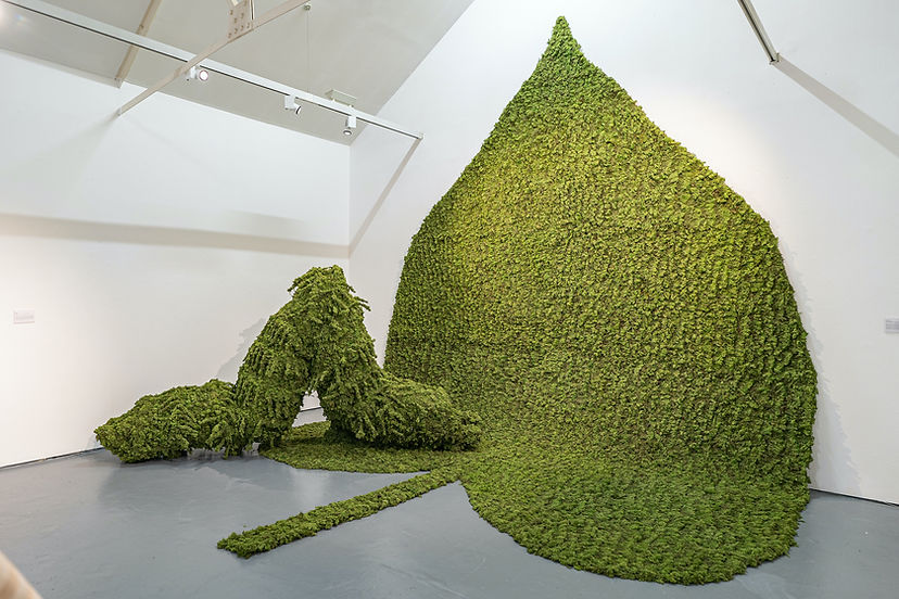 Fly Like a Butterfly | Olana Light