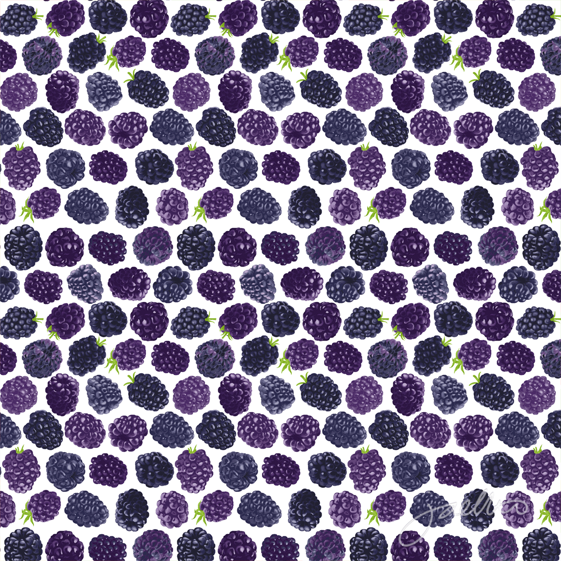 More Artworks - Fruits | Jay Han