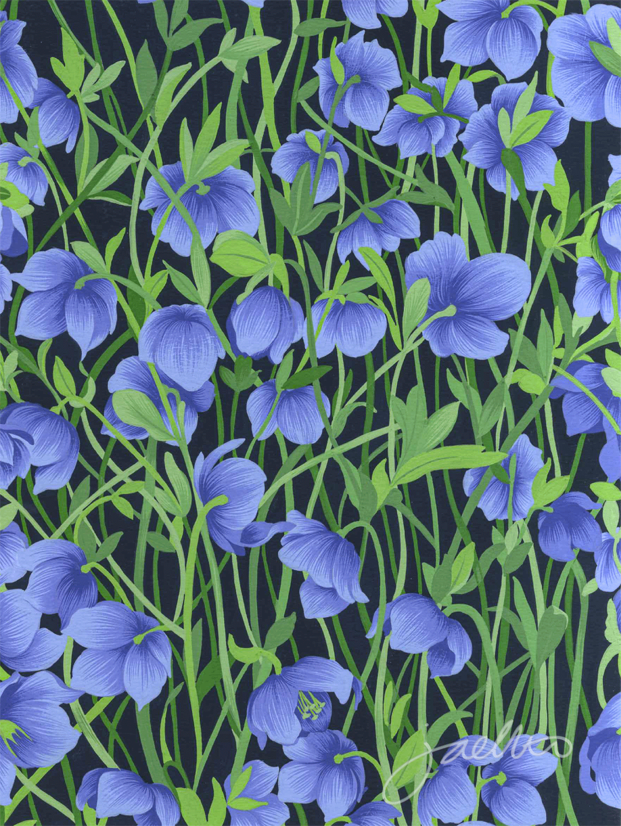 More Artworks - Ellegance | Jay Han