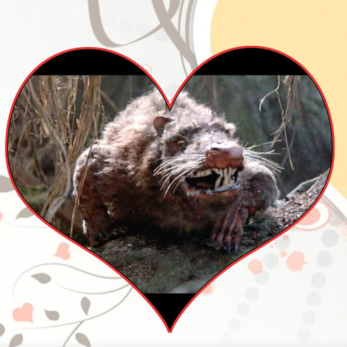 RAT | Riverside Reptiles