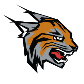 Pre-made Loadouts | lynxclandayz