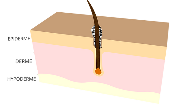 MANCHON PILAIRE | SmartSémio