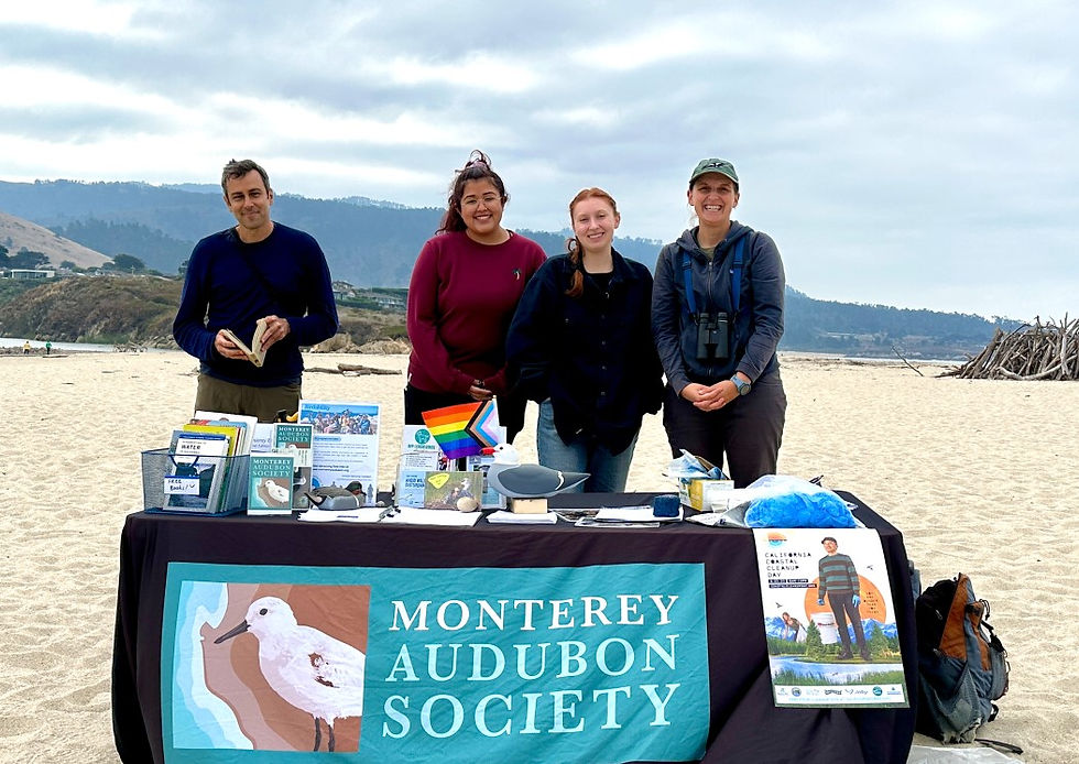 Getting people hooked on birds to make the world better: An interview ...