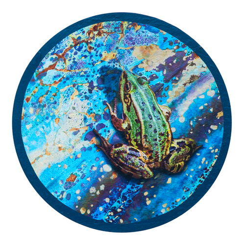 AMPHIBIAN ~ Eco Mural | Hagopian Arts