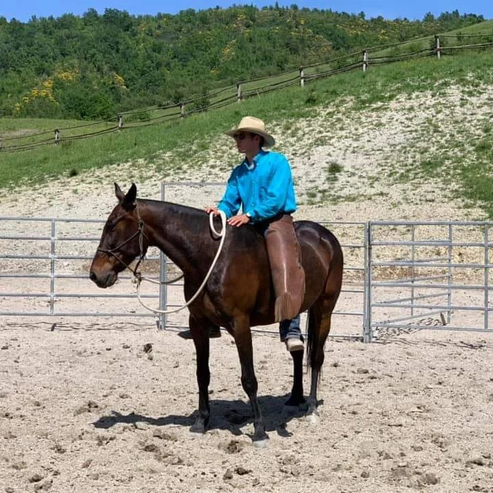Colt starting naturally in Italy ~ Pat Parelli