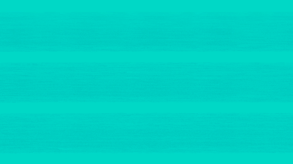 Sustainability is FUN!