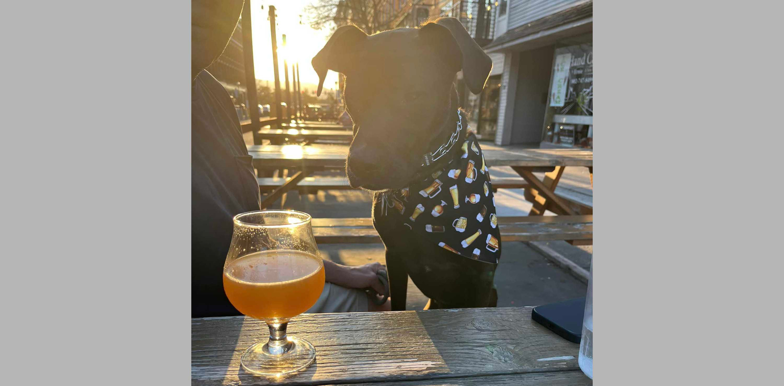 Local Dining and Dog Friendly Breweries | pawhouseinn