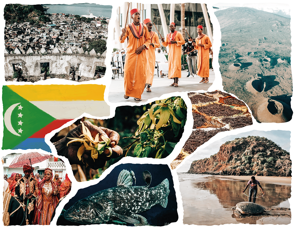 Comoros Coffee: From Wild Origins to Exquisite Brews