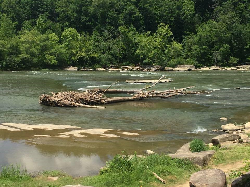 GALLERY | boonedocks