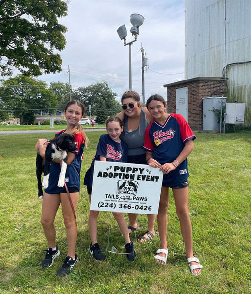 About Us | Tails of the Forgotten Paws Animal Rescue of Arkansas/Illinois