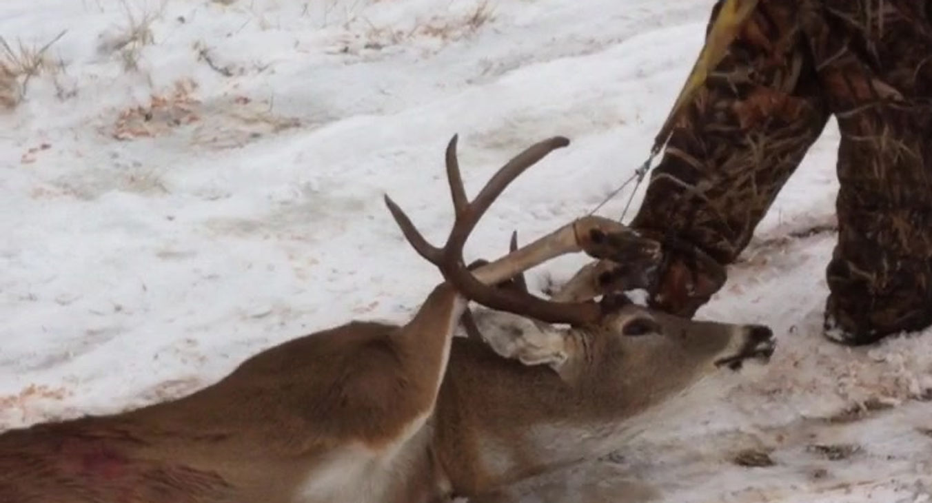 Home [pocketdrag.com]