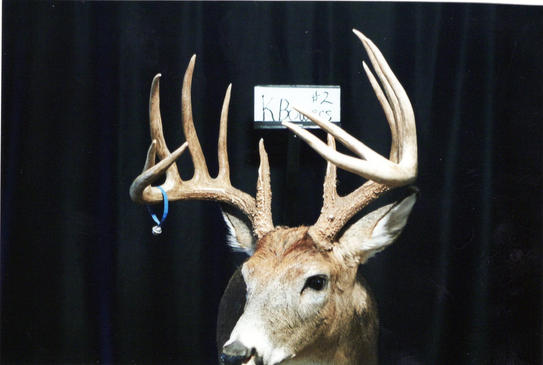 Records Gallery | Bolt & Quarrel