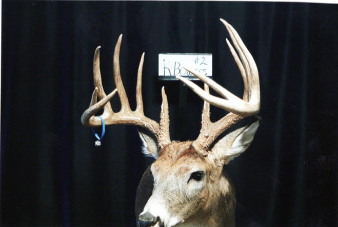 Records Gallery | Bolt & Quarrel