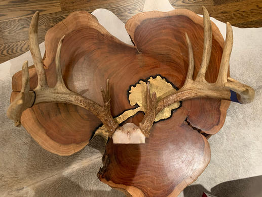 Records Gallery | Bolt & Quarrel