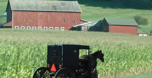 Pricing for Hunting Packages | First Class Trophy Ranch