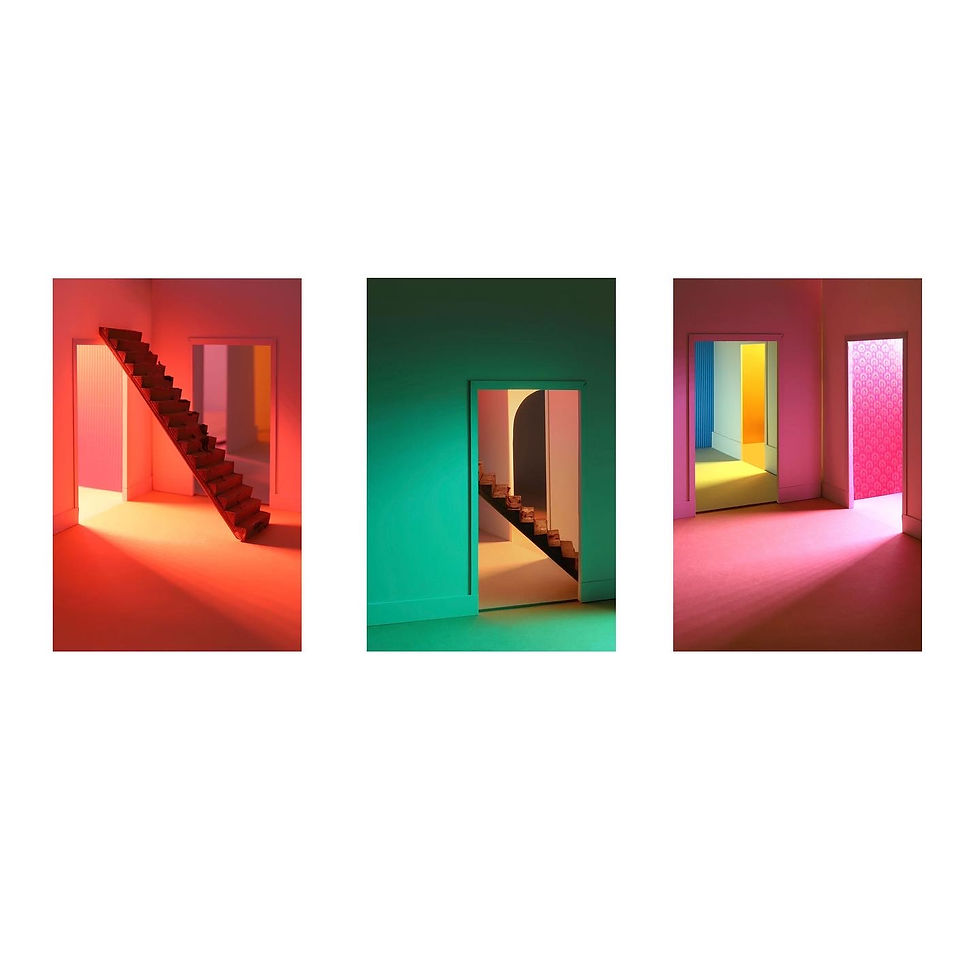 SHOP | Sarah Bird Art