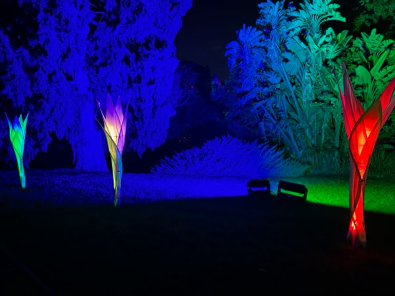 Lightscape at Royal Botanic Gardens