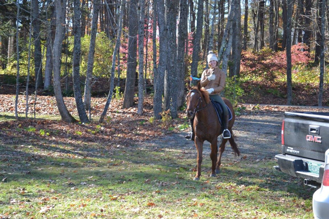 Home | Hartland Riding Club