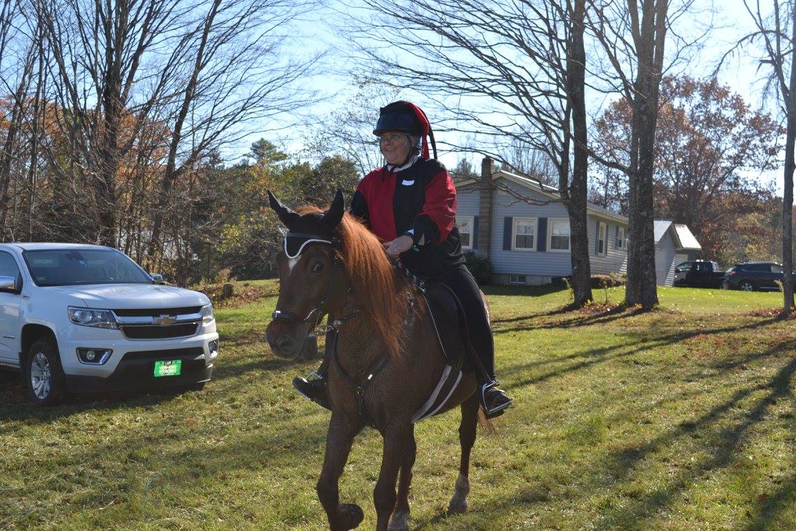 Home | Hartland Riding Club