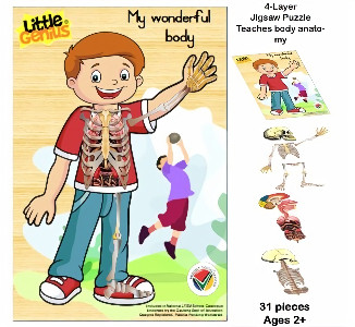 My Wonderful Body | Little Genius PtyLtd
