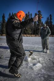 Battle Dawgs for Combat Veterans | Alaska, USA | Gallery
