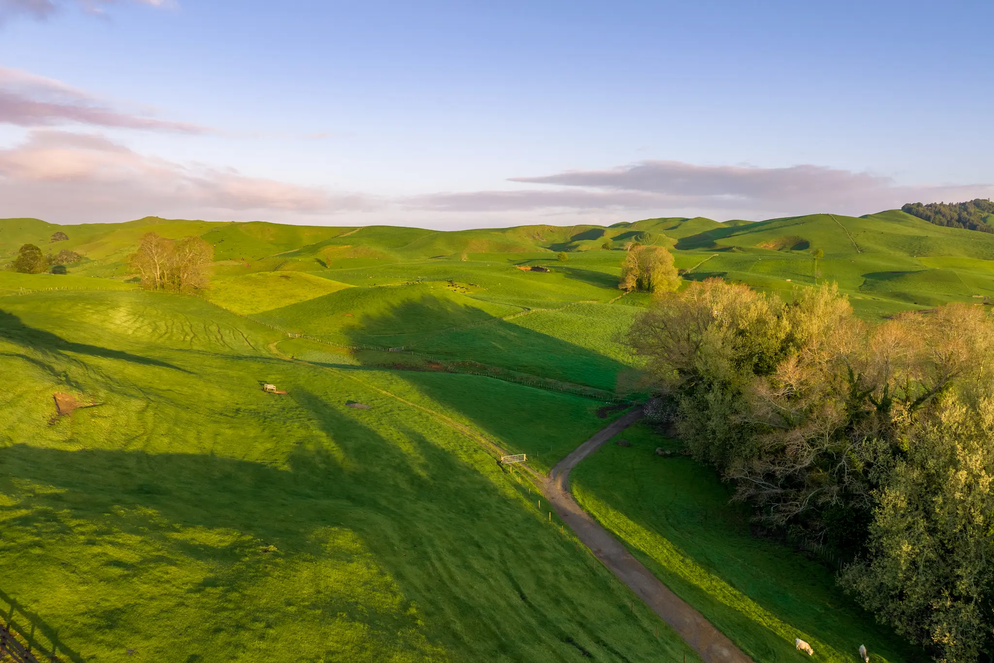 Tabula Opens US Headquarters In Melbourne, Florida