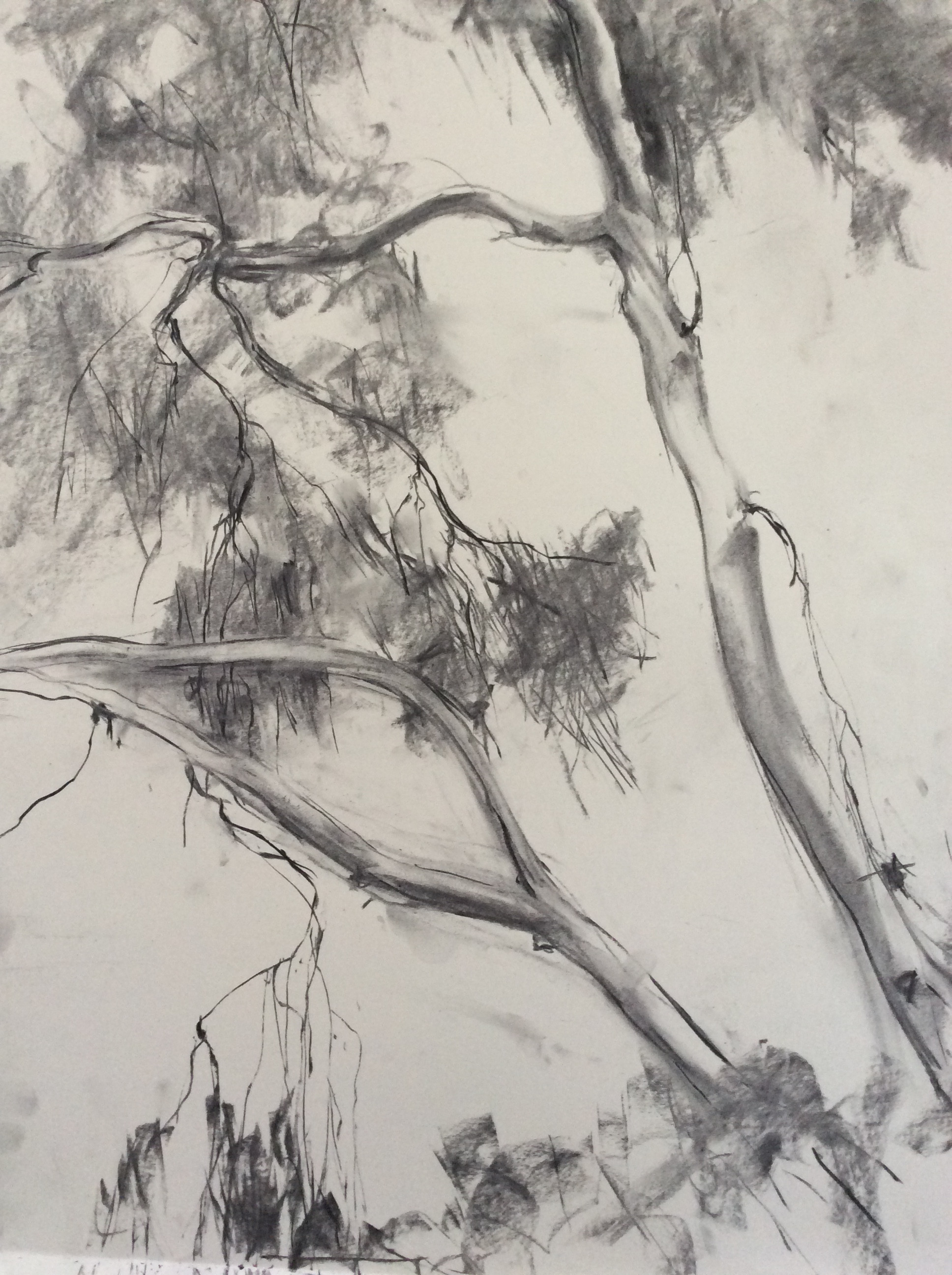 Drawing Experiments I | edindrawingschool