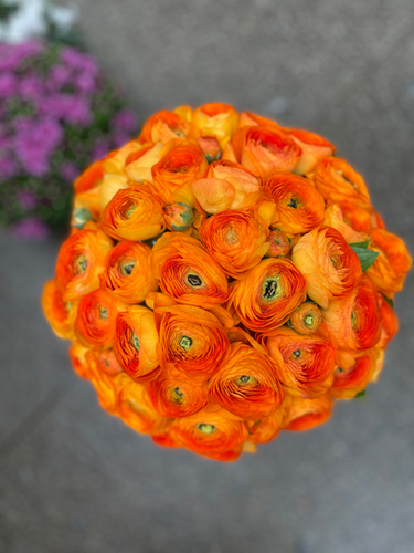 Fall Ranunculus | alexander florals