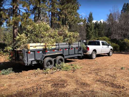 Low Pro Dump Trailer | Lamar Trailers