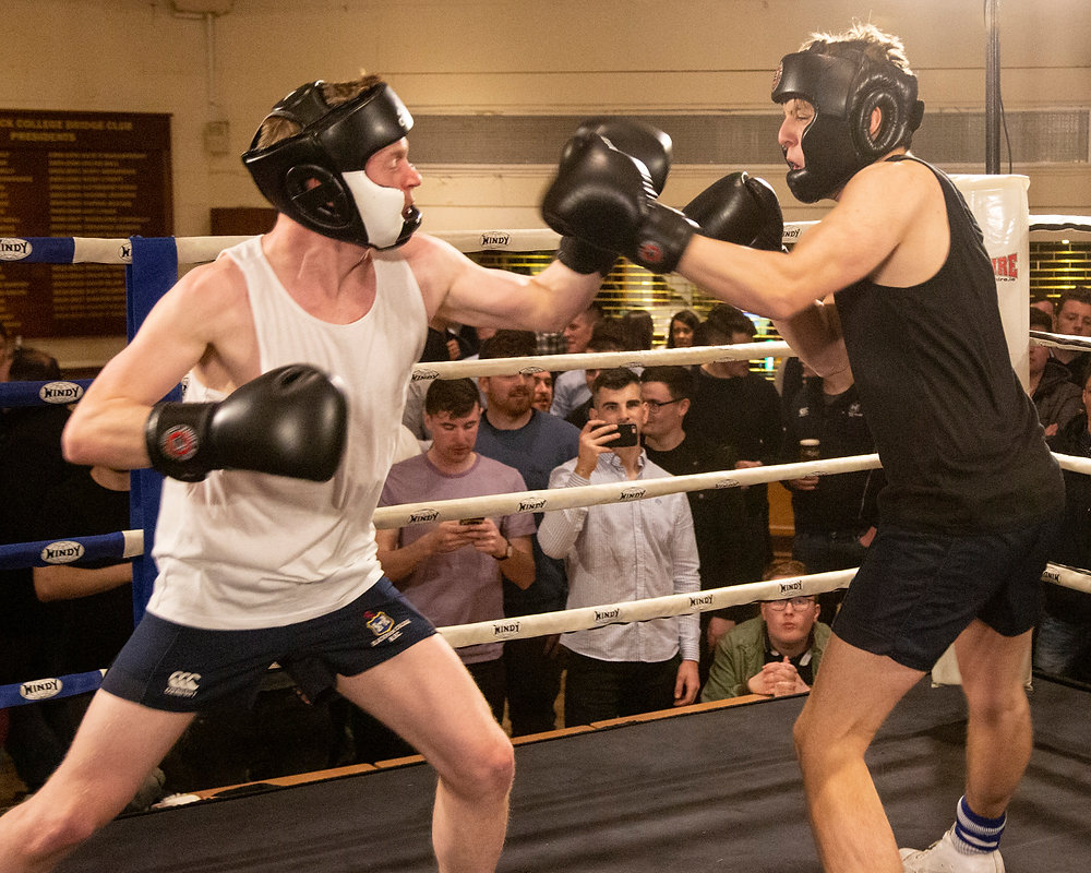 Rock Royal Rumble Recap