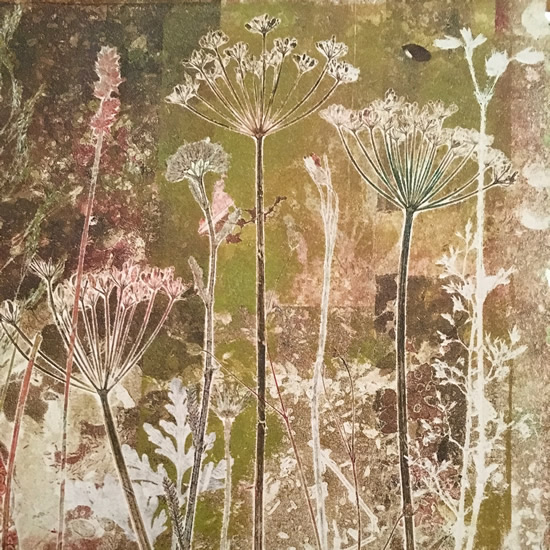 sarah jameson, artist, monoprints, monoprinting
