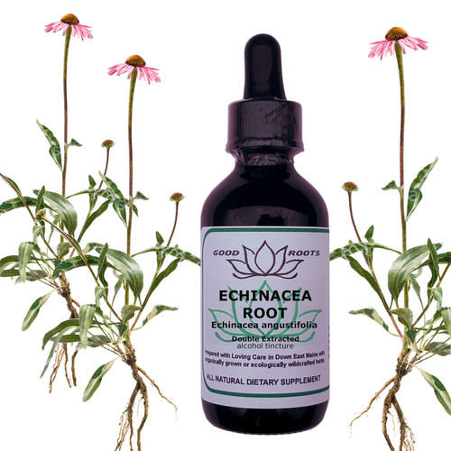 Echinacea angustifolia Root Double Extracted Tincture | goodrootsllc