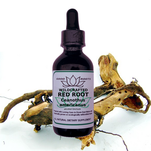 Red Root Ceanothus americanus Double Extracted Tincture | goodrootsherbal
