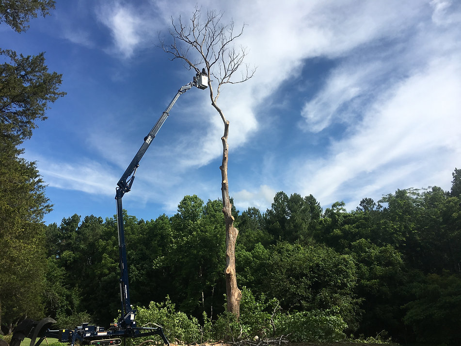 Arbor Pro of Virginia - Tree Care, Removal, Pruning - 434-390-7708