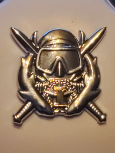 Instructor's Lapel Pin | sfuwo-i.org