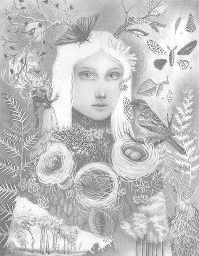 Peppered Moth - original drawing | Artéyrie