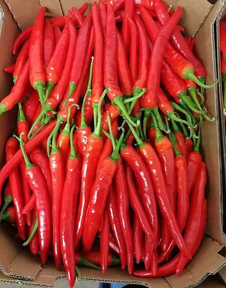 Products | GFS FRESH