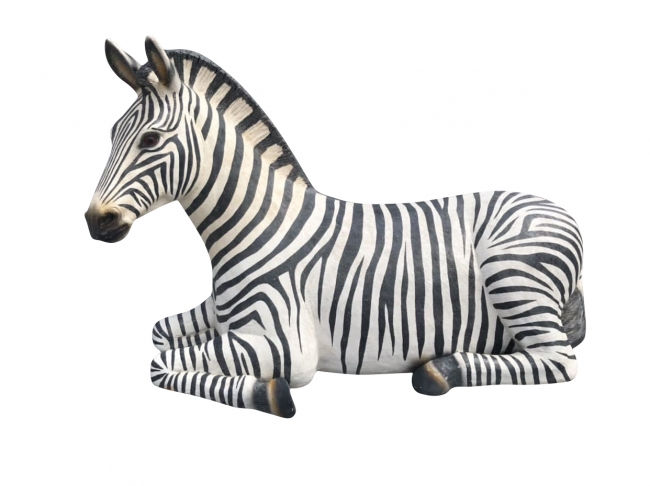 Zebra Laying Down | Idr Decor Rentals