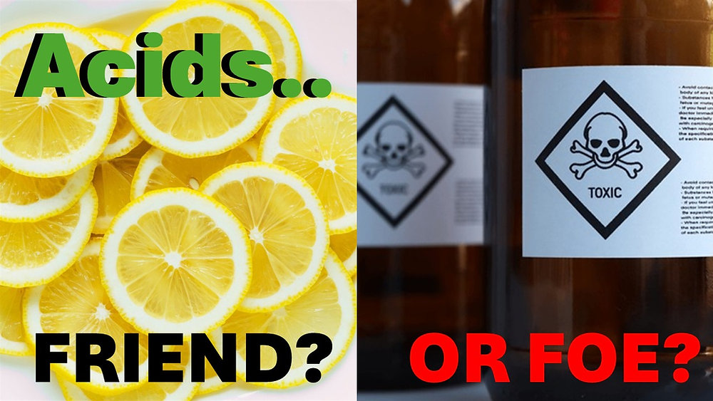 Add a Splash of Vinegar: Why Do We Eat Acids?