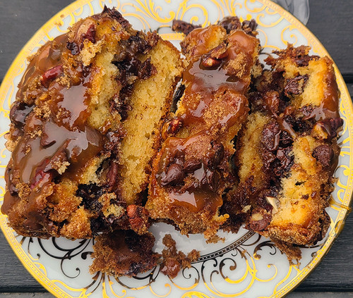 Turtle | Frannie Franks