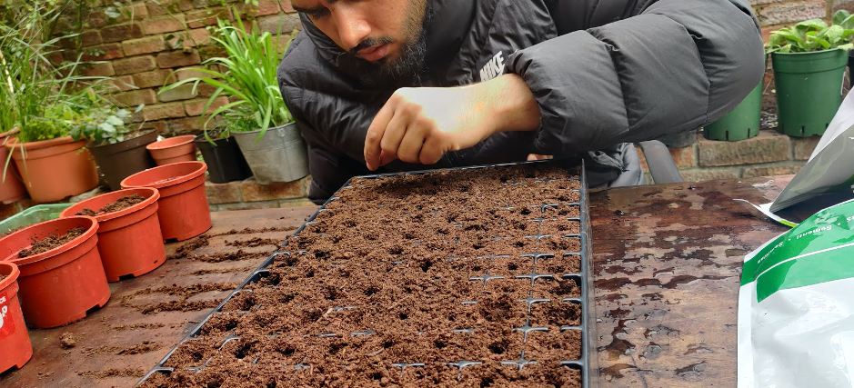 An Introduction to Propagation