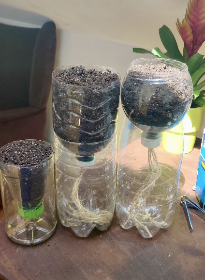 How To Grow Plants In A Water Bottle!